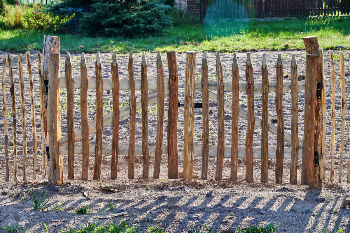 Hazel gates - Bogateco